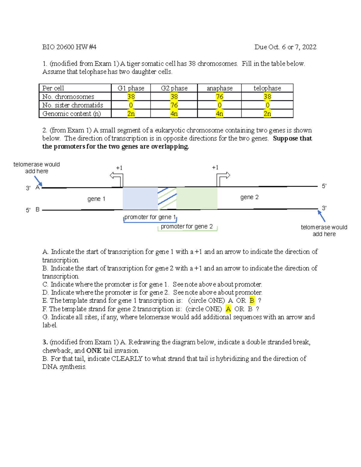 HW#4 Due 10 6 7 22key - BIO 206 - BIO 20600 HW #4 Due Oct. 6 or 7, 2022 ...