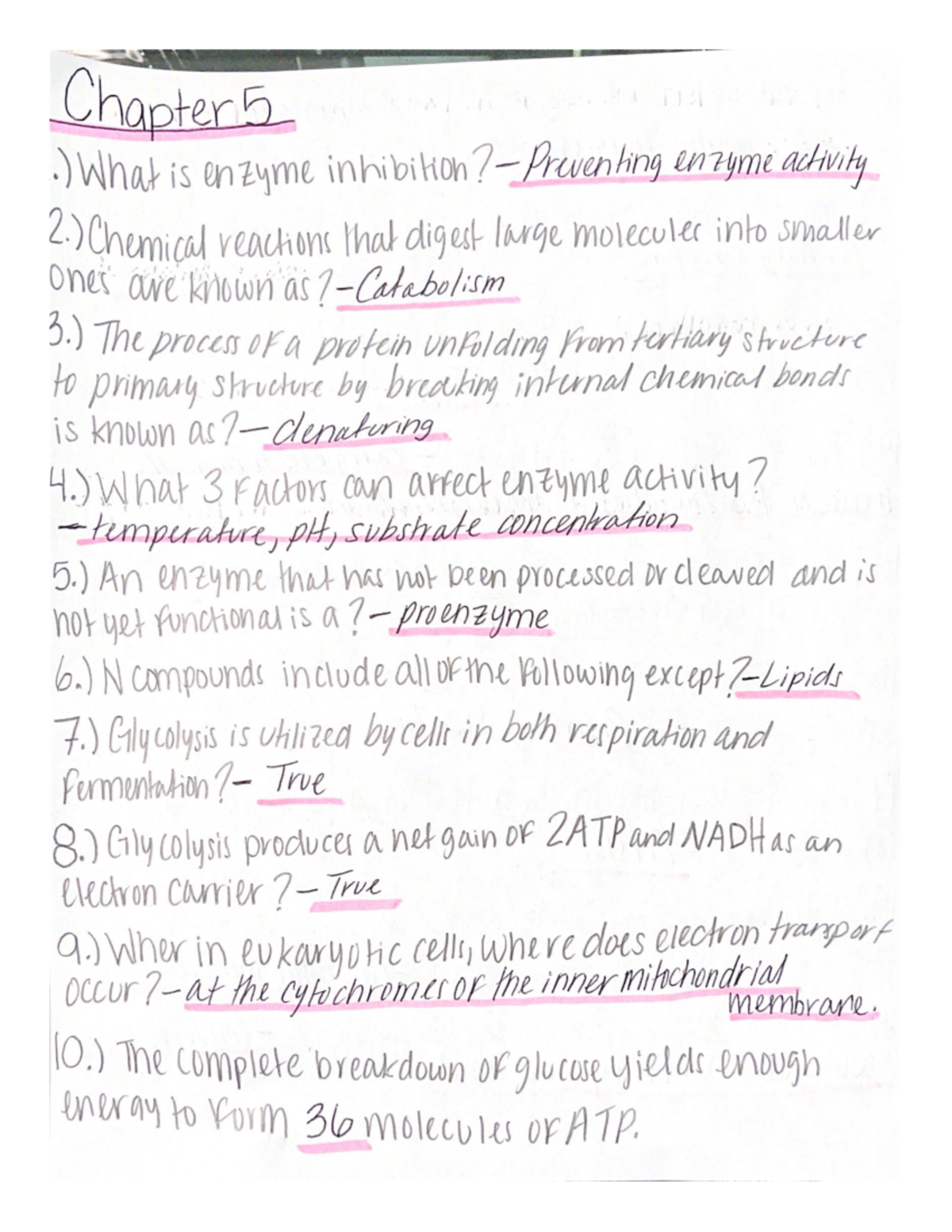 CH. (5-7) EXAM 2 study guide - BIOL 2420 - Studocu