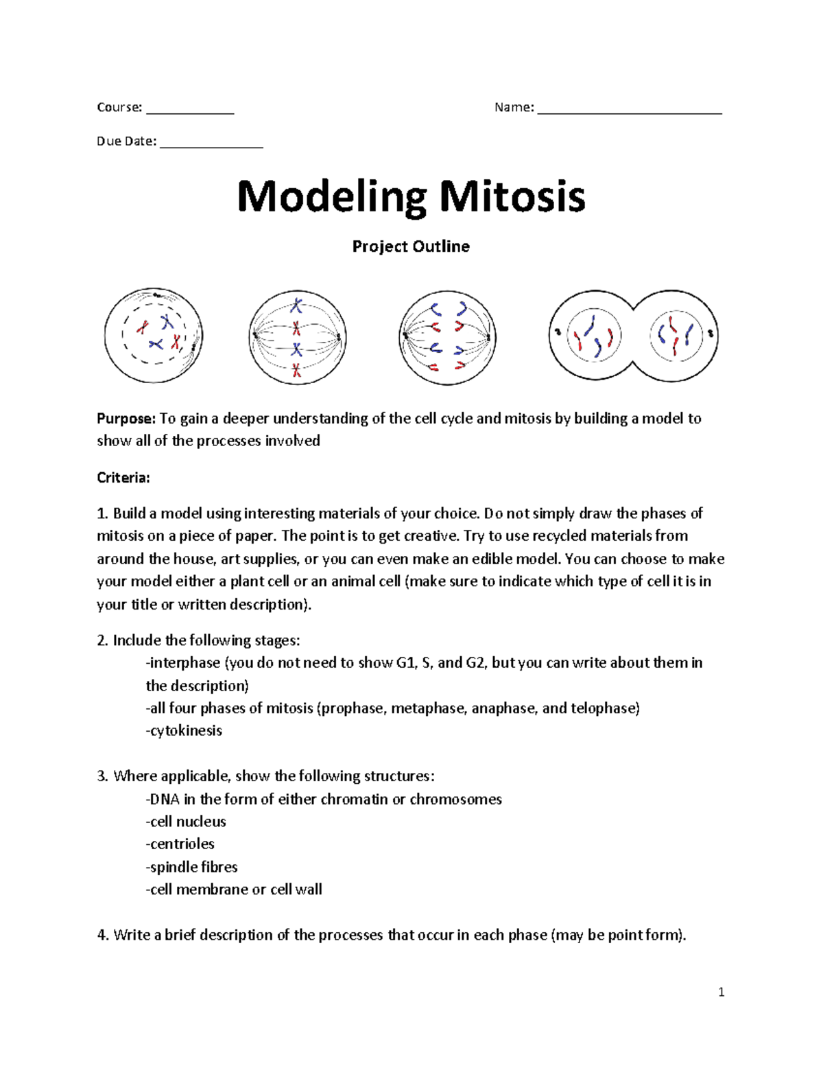 Modeling Mitosis Project Outline Graphic Organizer Rubric STEM-1 - 1 ...