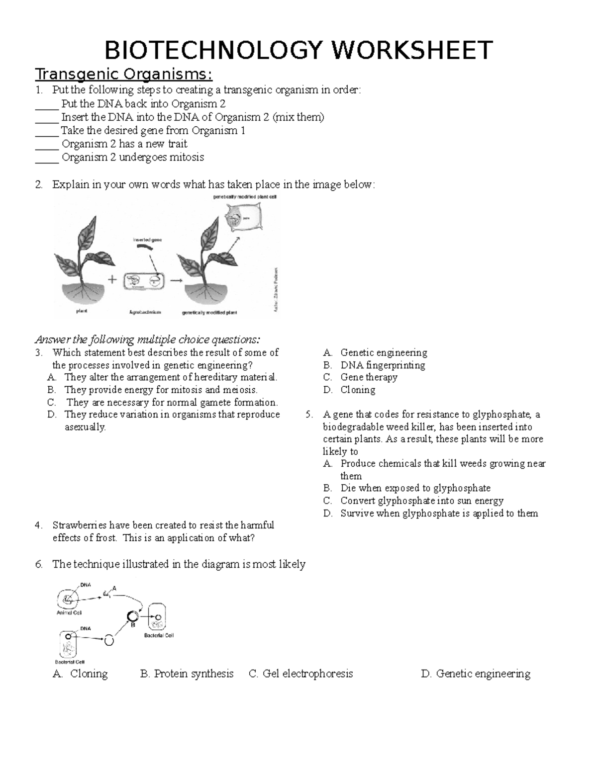Biotechnology worksheet - BIOTECHNOLOGY WORKSHEET Transgenic Organisms ...