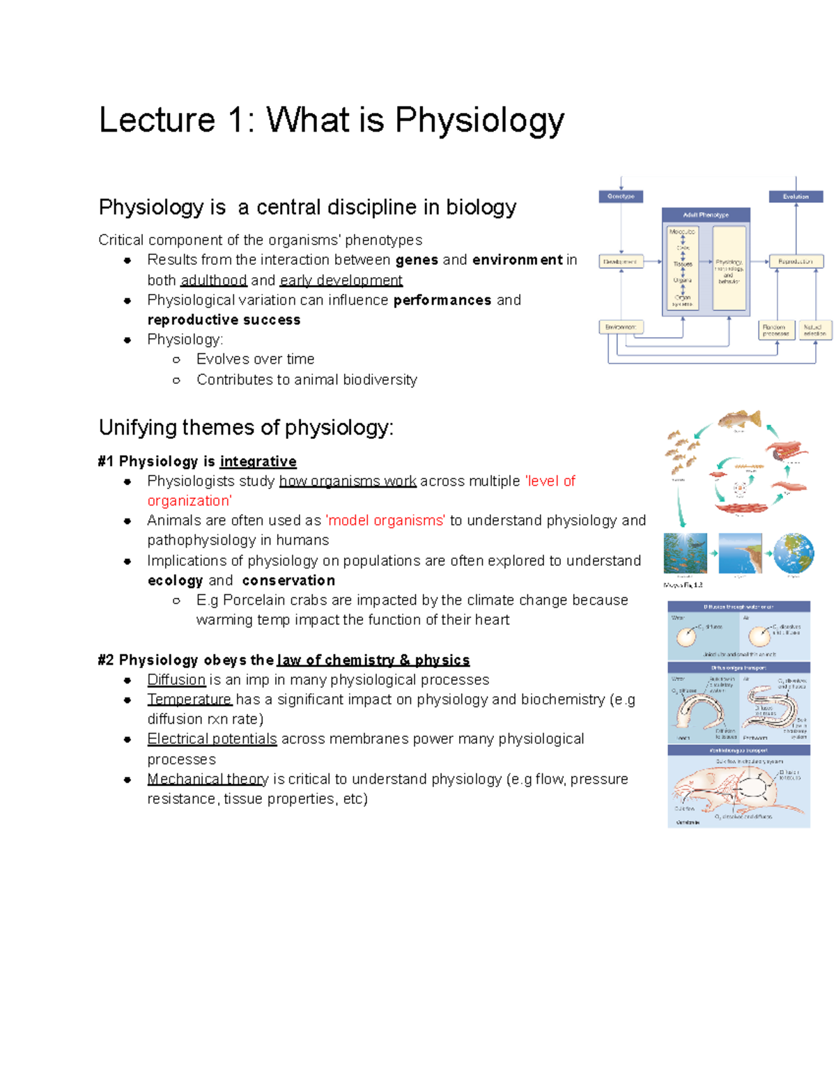 01 - What is Physiology - Lecture notes 1 - Lecture 1: What is ...