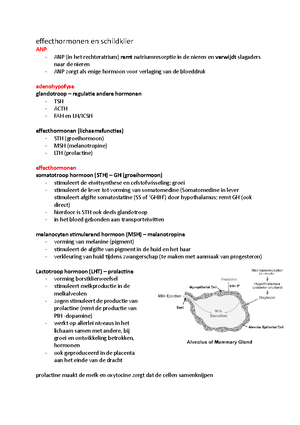 Anatomy of the cow - anatomie van een koe - descending colon transverse ...