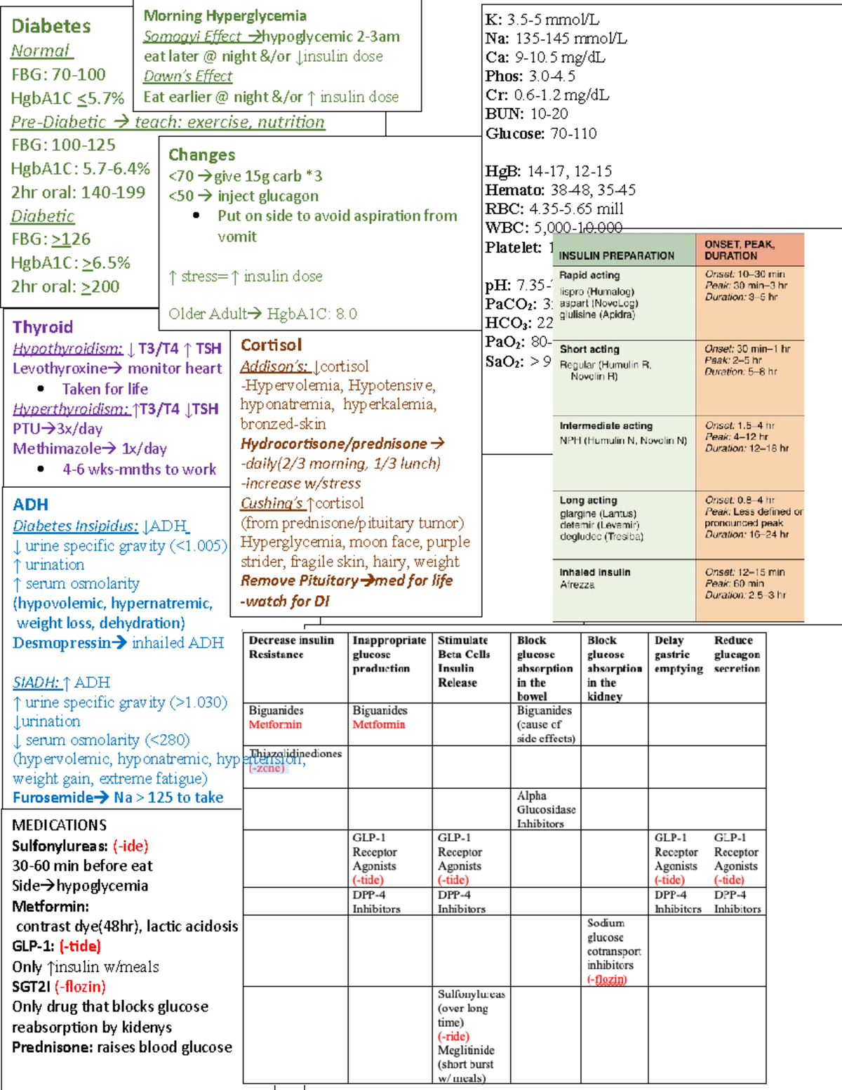 Exam 1 Focused Descriptive Notes - Cortisol Addison’s: ↓cortisol ...