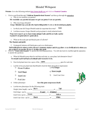 Oreo-Mitosis-Lab - Biology - Oreo Cell Cycle Student Worksheet ...