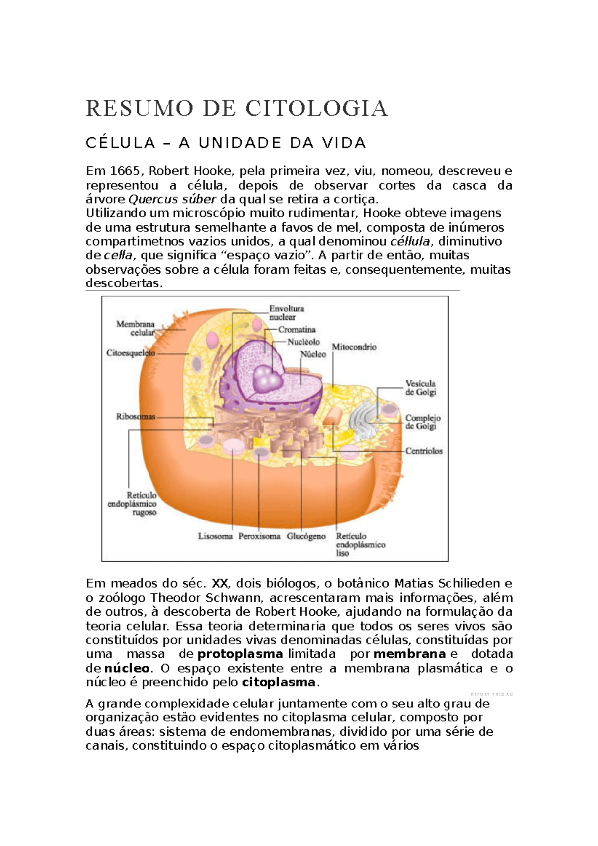 Resumo DE Citologia - RESUMO DE CITOLOGIA CÉLULA – A UNIDADE DA VIDA Em ...