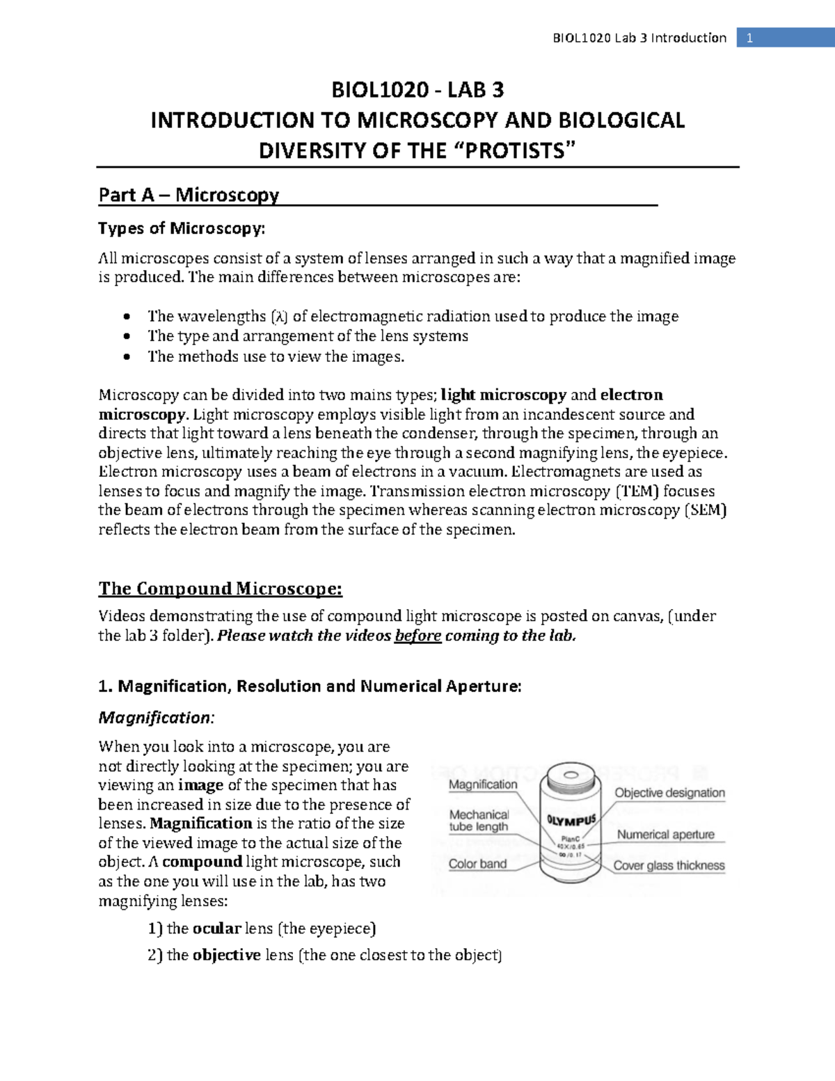 LAB 3 Introduction W2023 - BIOL1020 - LAB 3 INTRODUCTION TO MICROSCOPY AND BIOLOGICAL DIVERSITY ...