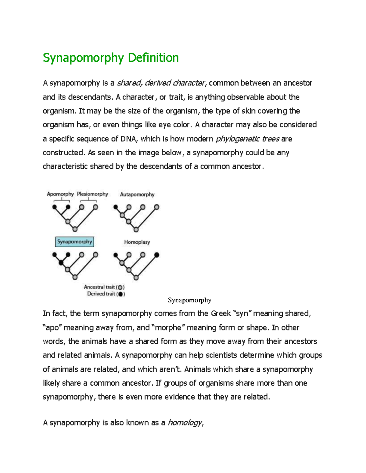 Synapomorphy Definition - A character, or trait, is anything observable ...