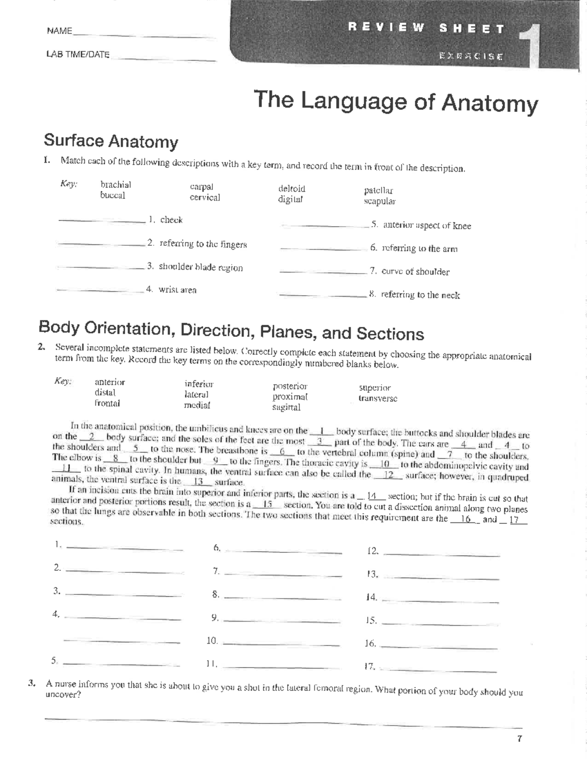 Language of anatomy - Medical Surgical Nursing - Studocu