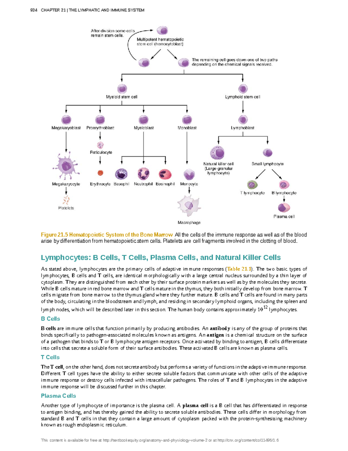 Ana Phy-471-475 - Anaphy Lectures Collection - Figure 21 Hematopoietic ...