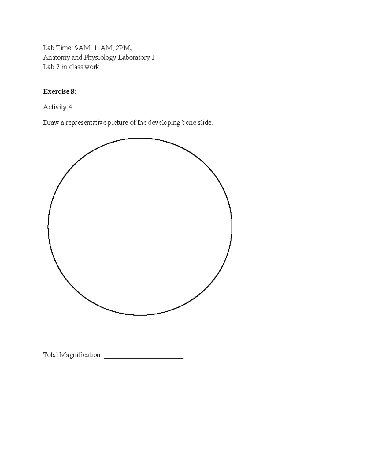 A&P I lab bones - skeletal system - Lab Time: 9AM, 11AM, 2PM , Anatomy ...