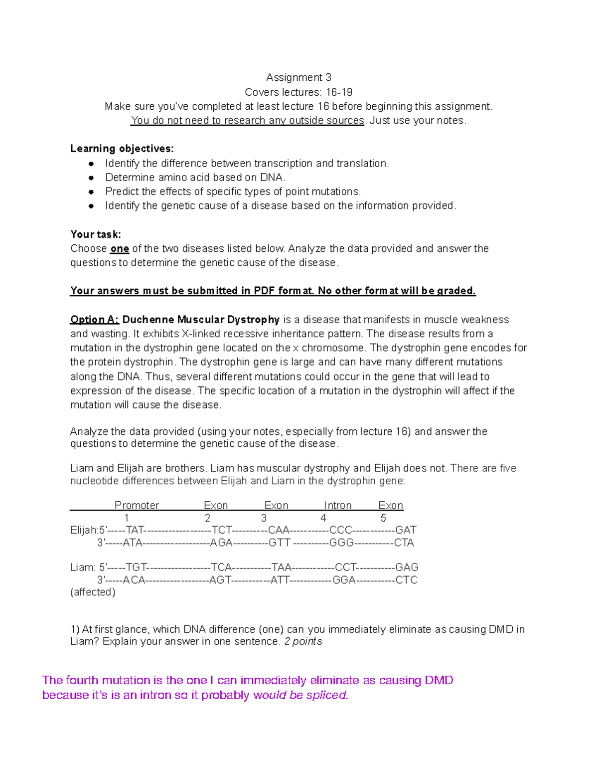 Assignment 3 - You do not need to research any outside sources. Just ...