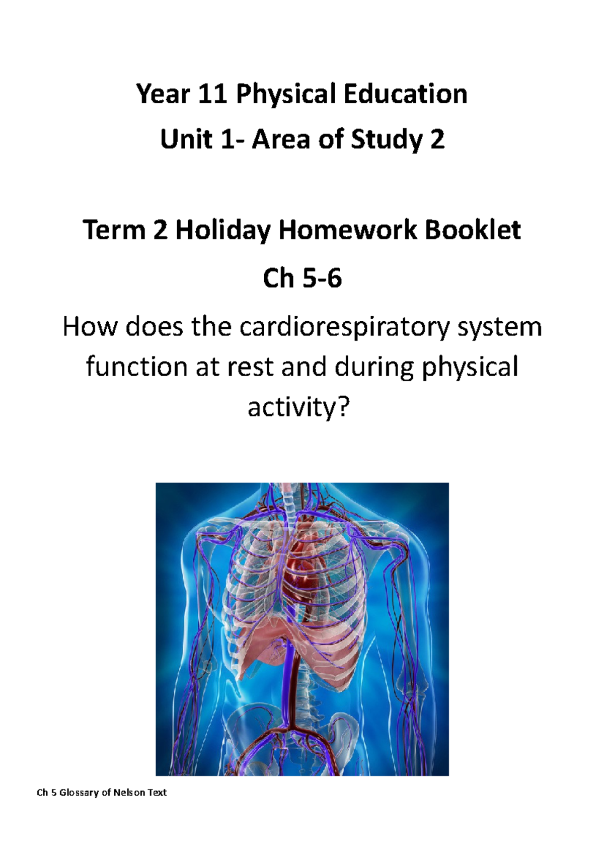 Updated Holiday Booklet Cardiorespiratory System - Year 11 Physical ...