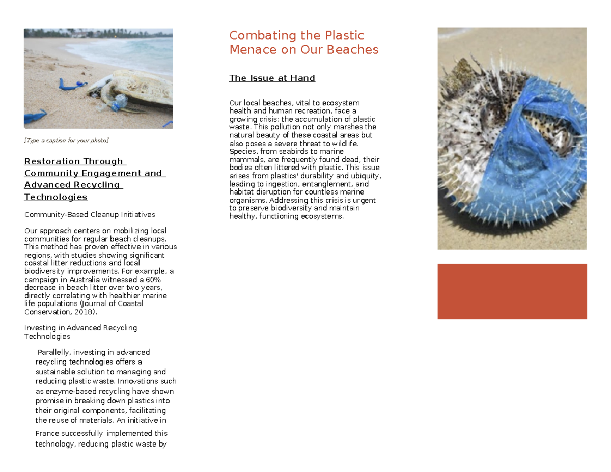 Restoration Pamphlet - [Type a caption for your photo] Restoration ...