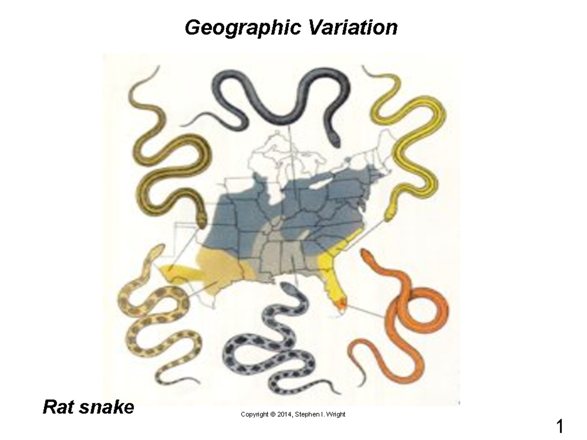 Adaptation and Biodiversity - Lecture notes - 23. Lecture 19 ...