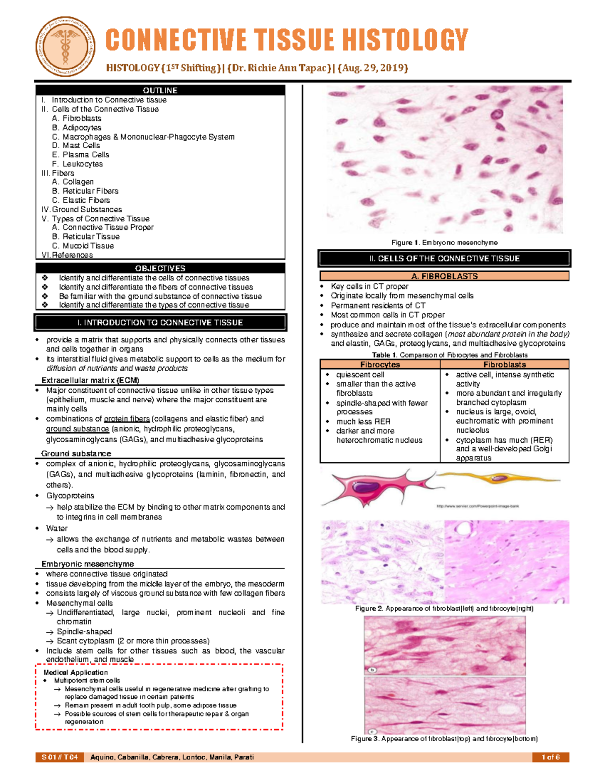 Connective Tissue Histology - S 01 // T 04 Aquino, Cabanilla, Cabrera ...
