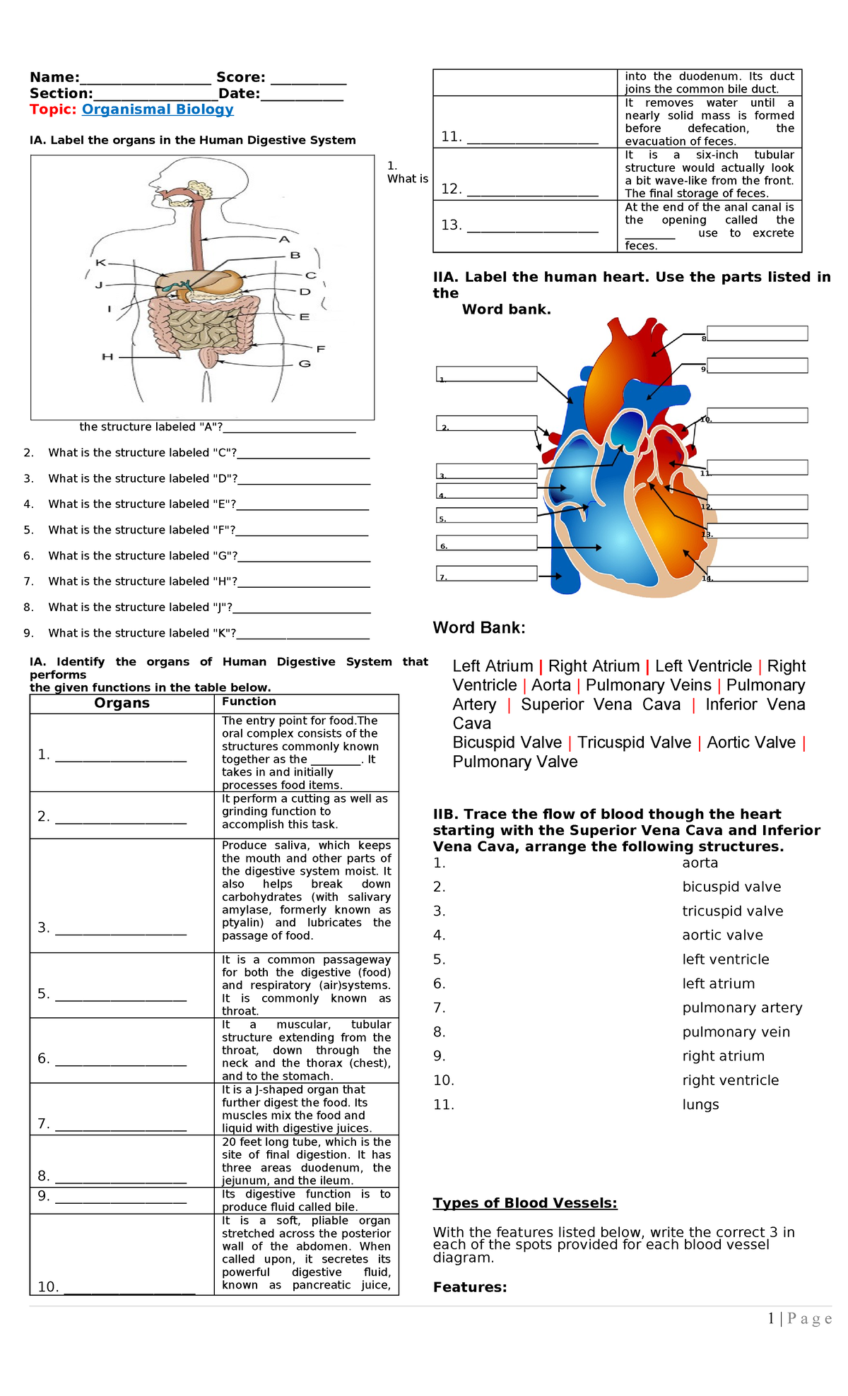 Activity Sheet Organismal Biology - Name:___________________ Score: ___________ Section ...