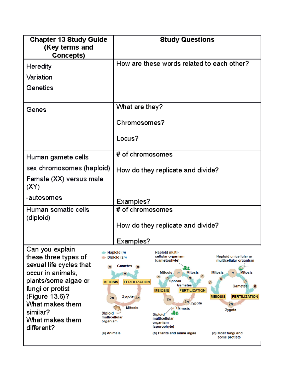 General Biology Chapter 13- LHWright Study Guide - Chapter 13 Study ...