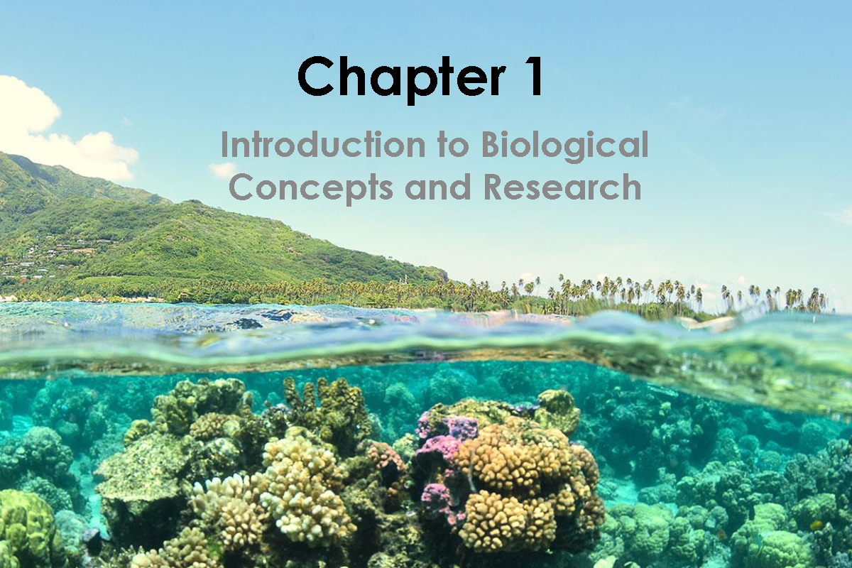 1 - What is Life (Moodle) - Chapter 1 Introduction to Biological ...