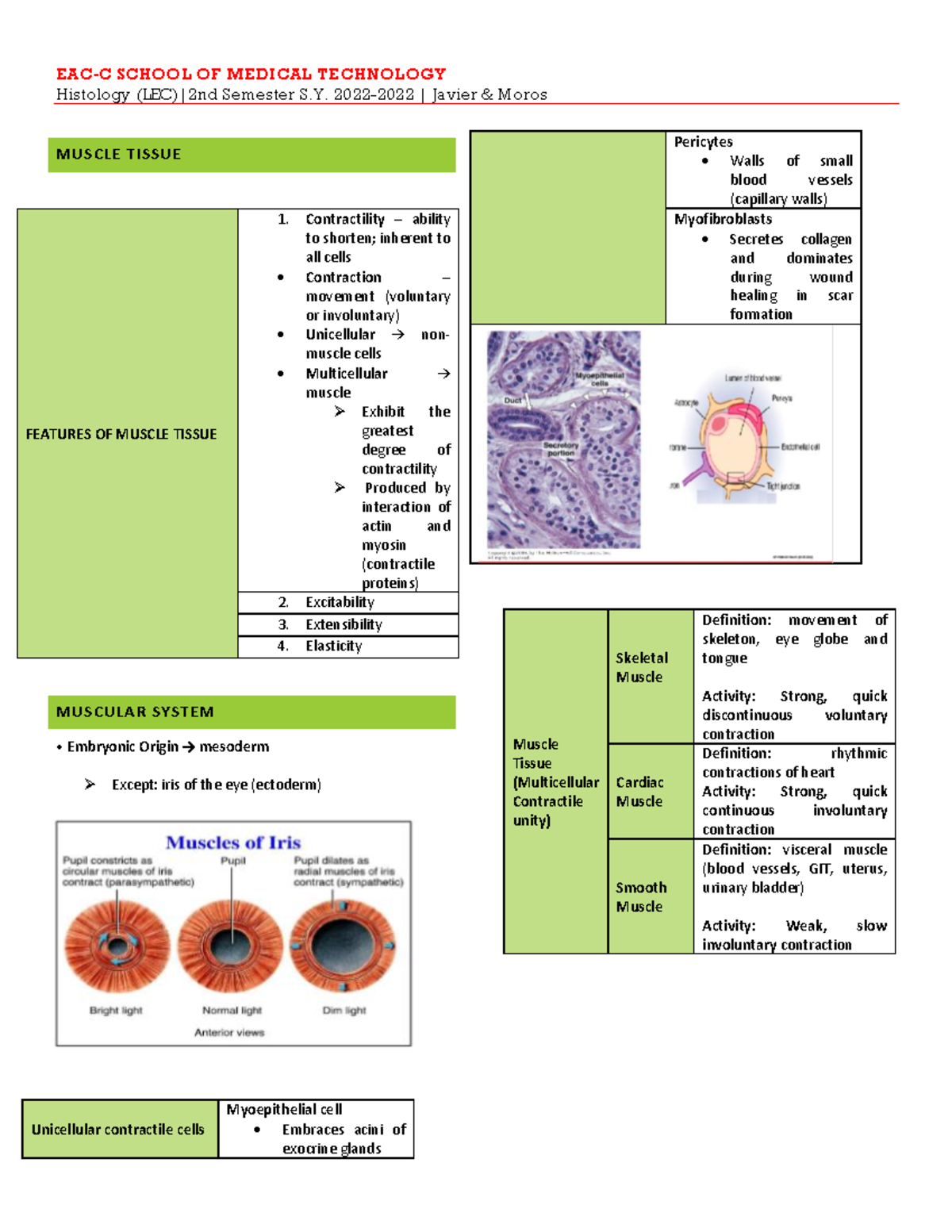 Midterms Histo LEC Muscle & Nervous Tissue - Histology (LEC)|2nd ...