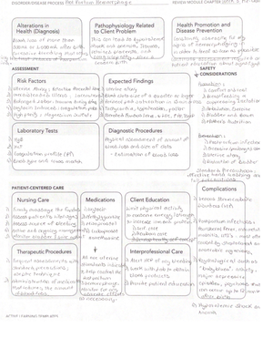 Preeclampsia ATI System Disorder Notes - ACTIVE LEARNING TEMPLATES ...