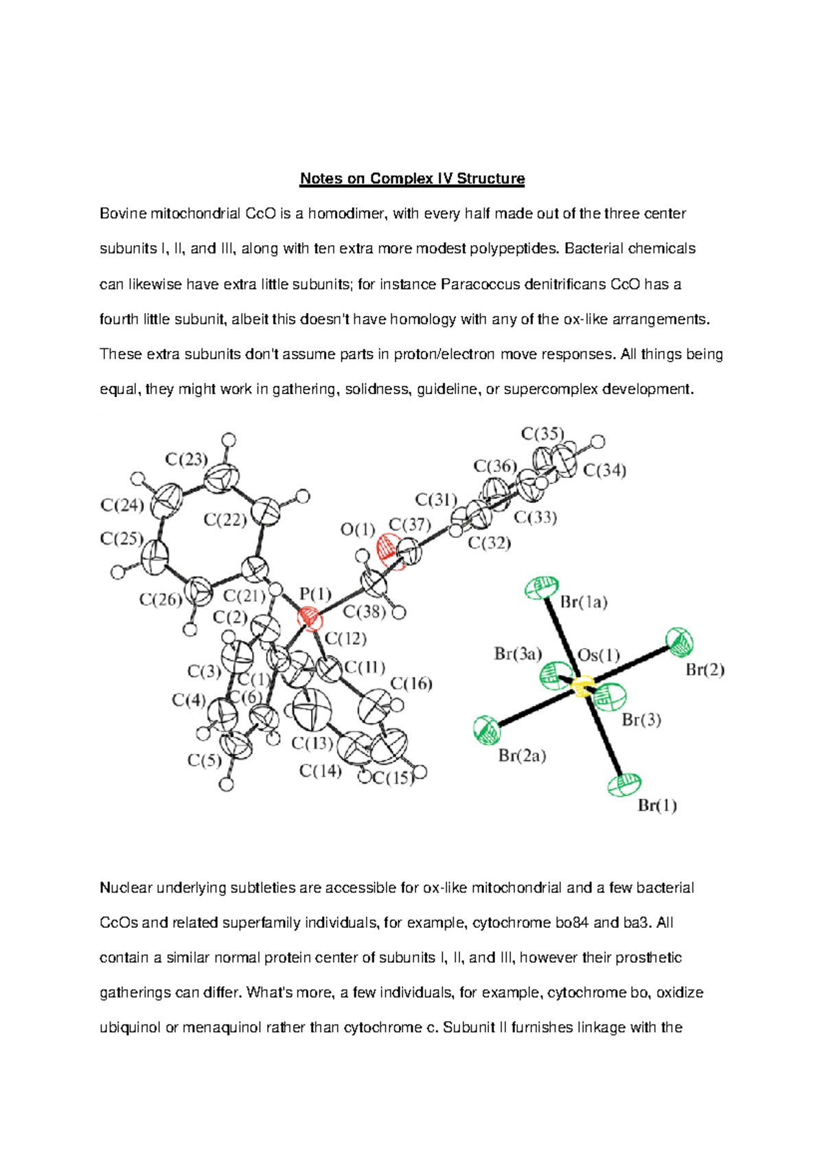 Notes on Complex IV Structure - Notes on Complex IV Structure Bovine ...