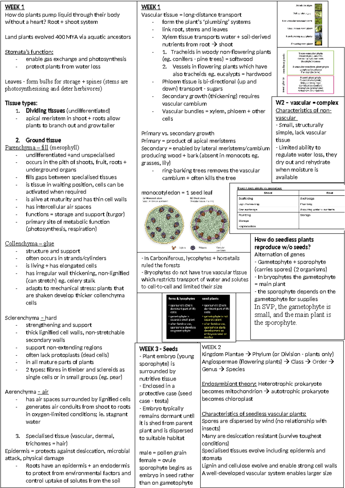 BIOL2203 Midsem Sheet - Summary Plant Biology - WEEK 1 How do plants ...