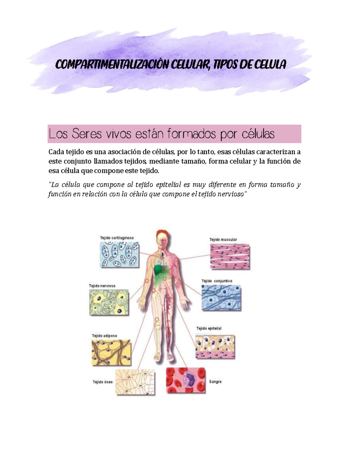 Biología Celular - Solemne 1 - Los Seres vivos est·n formados por ...