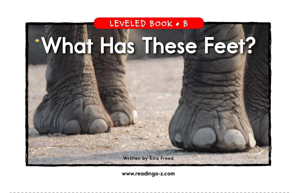 What Has These Feet - asdfasdfasdfasdf - LEVELED BOOK B ab What Has ...