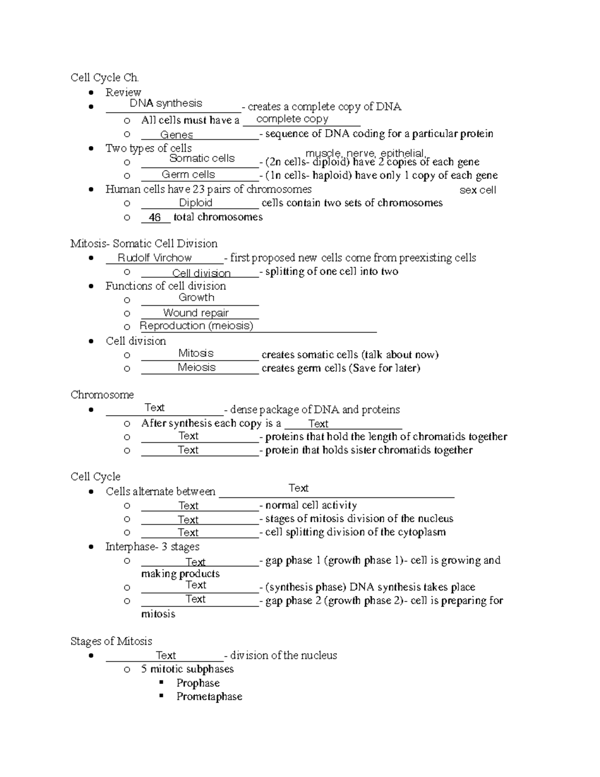 Ch 12 cell cycle stud - Cell Cycle Ch. Review ...