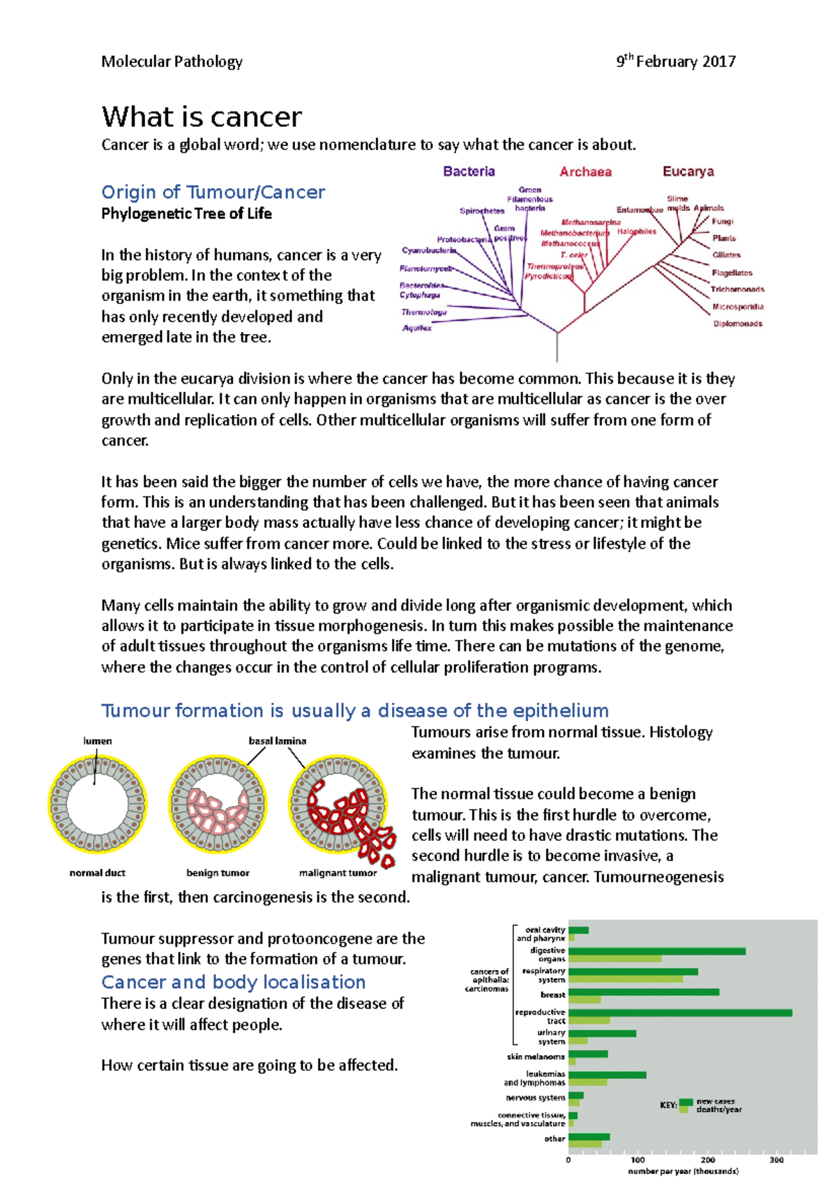 Molecular Pathology What is cancer - Molecular Pathology 9th February ...
