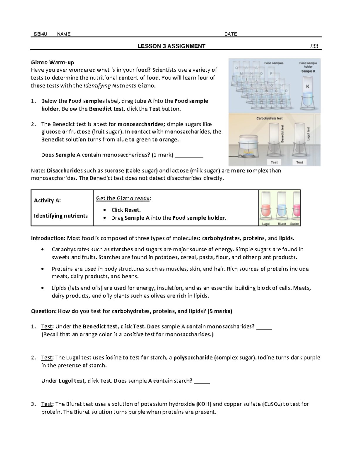 Lesson 3 2022 - Biology - SBI4U NAME DATE LESSON 3 ASSIGNMENT / 33 ...
