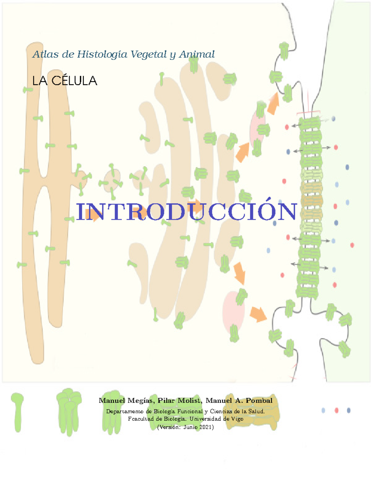 Historia de la celula - Atlas de Histolog ́ıa Vegetal y Animal LA C ́ELULA INTRODUCCI ́ON Manuel ...