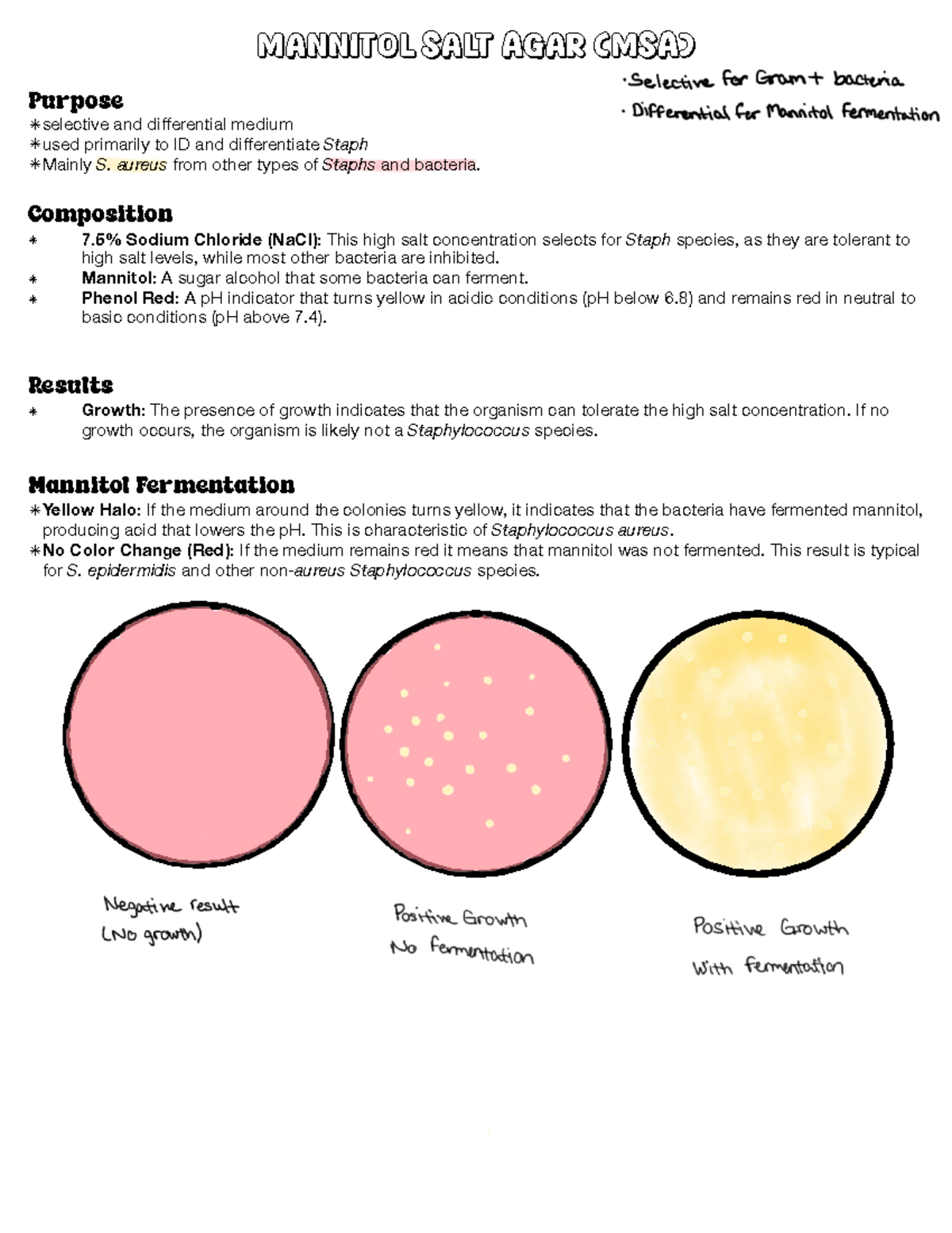 Medium tests - Mannitol Salt Agar (MSA) Purpose selective and ...