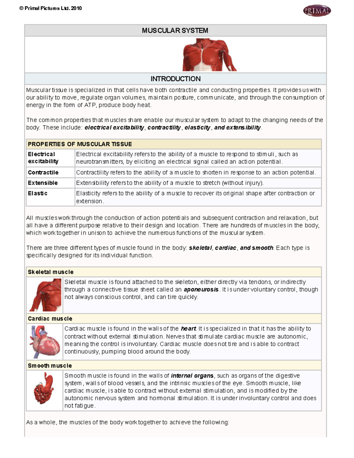 Muscle tissue - Lecture Notes - ANAT1001 - MQ - Studocu