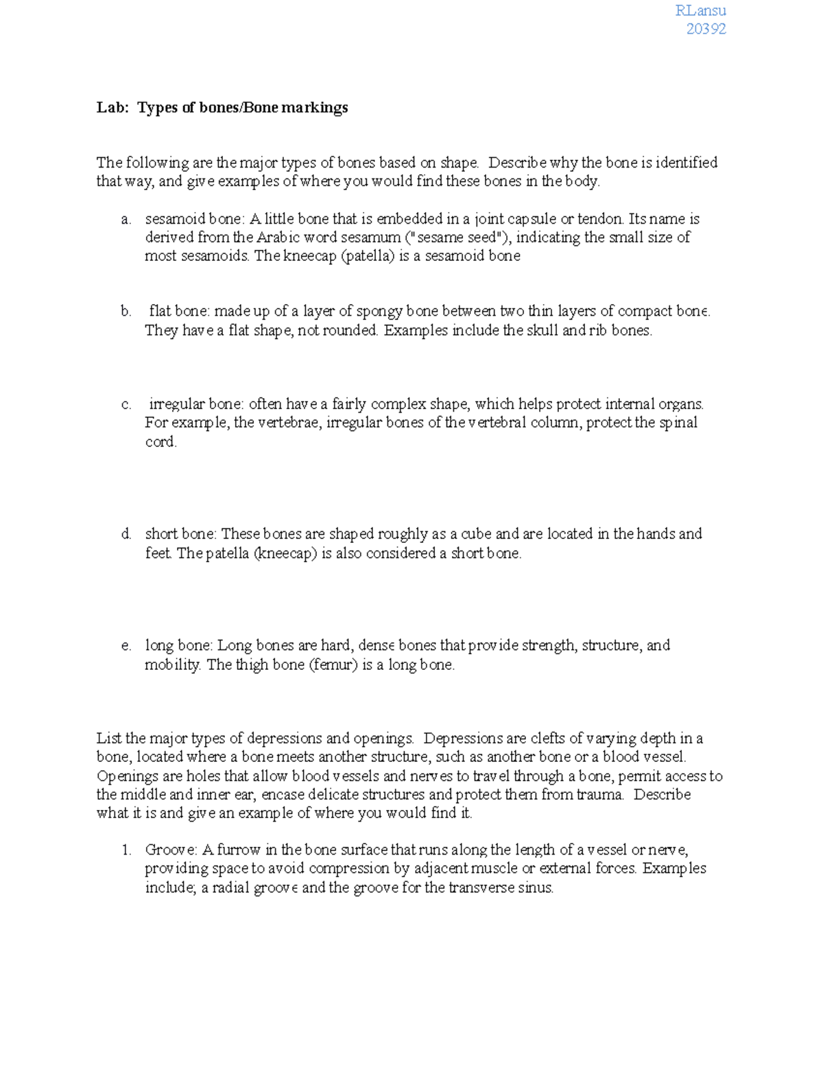 05 Bone Lab Worksheet Practice Labs 20392 Lab Types Of Bonesbone Markings The Following