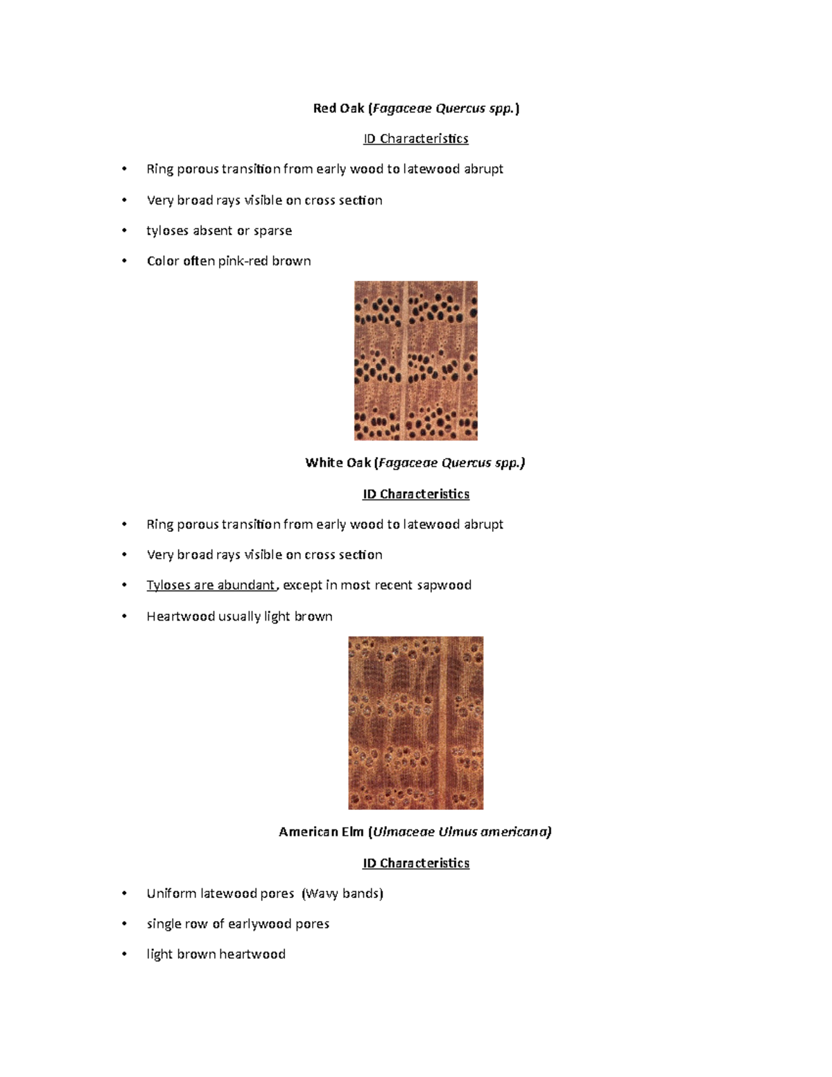 FORS2240 Ring Porous and Semi-Ring Porous Hardwood Identification - Red ...