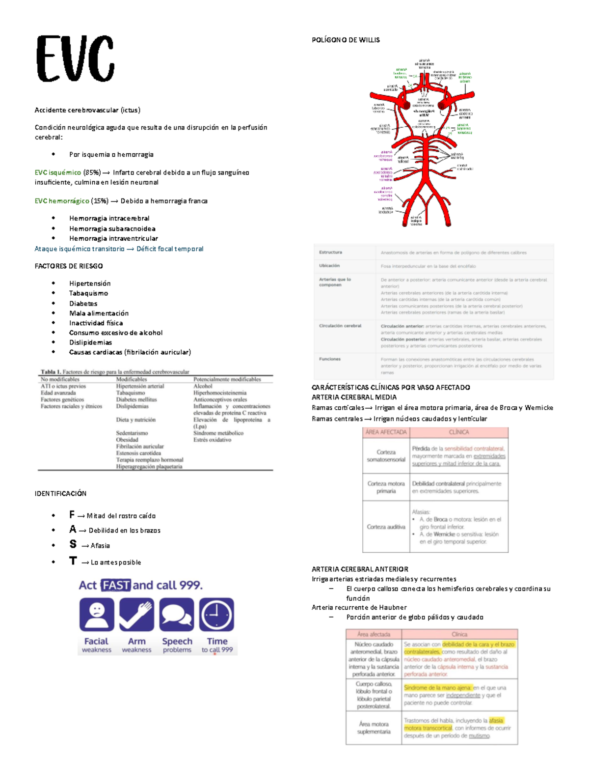 Enfermedad Cerebro Vascular. - EVC PDF - Accidente cerebrovascular (ictus) Condición neurológica ...