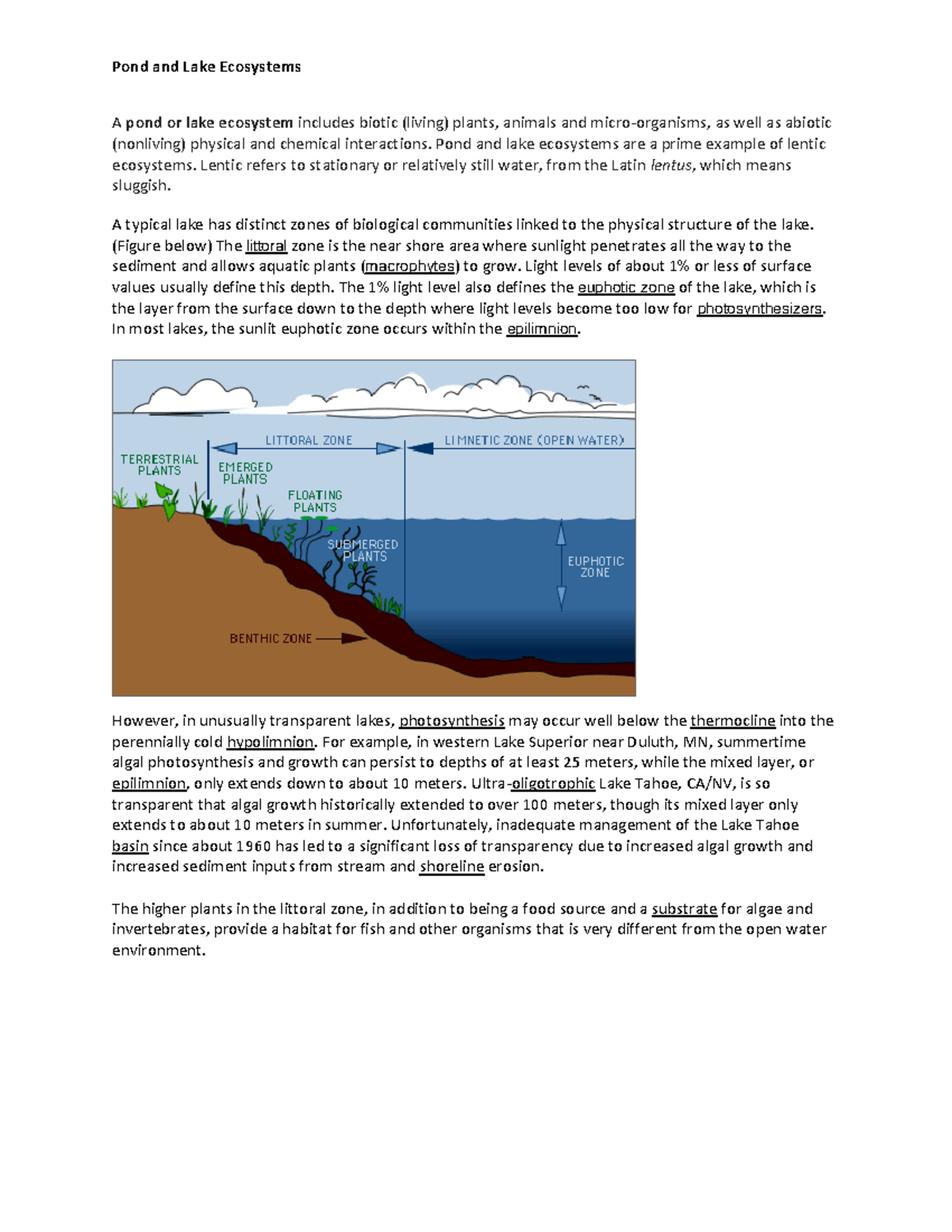 Pond Lake Ecosystems - Pond and Lake Ecosystems A pond or lake ...