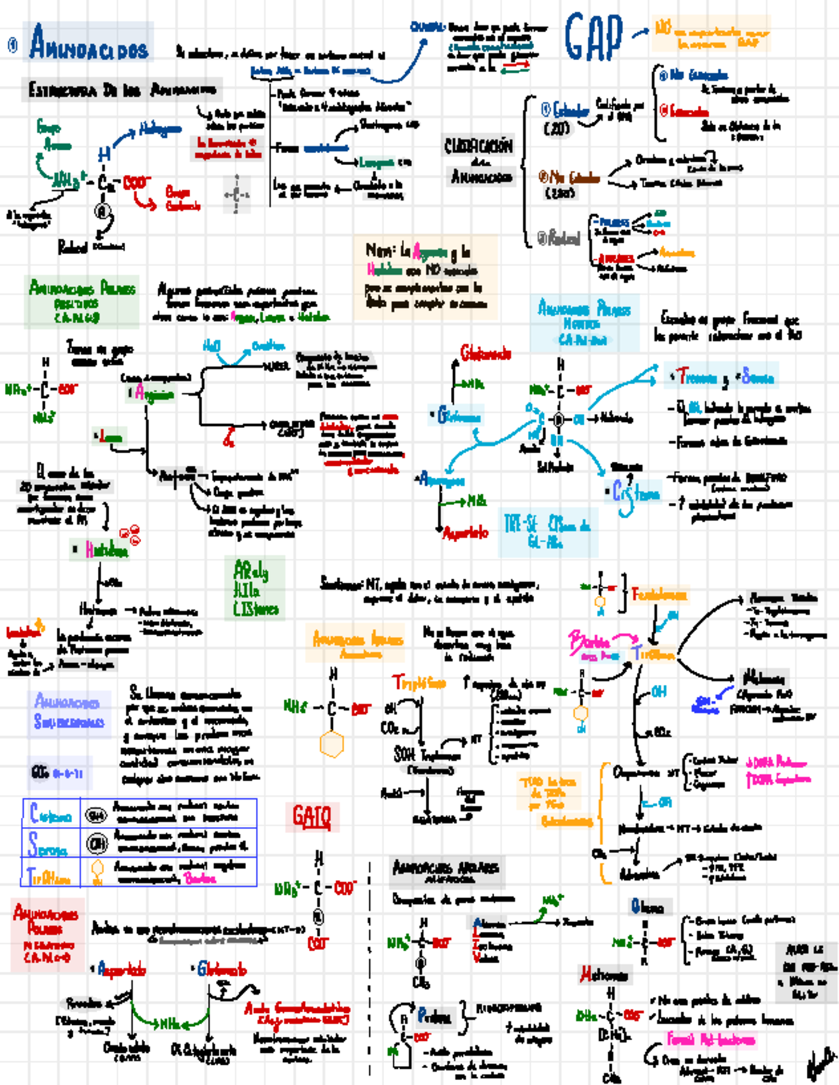 Aminoácidos - Apunte de todos los aminoácidos que se encuentran y su ...