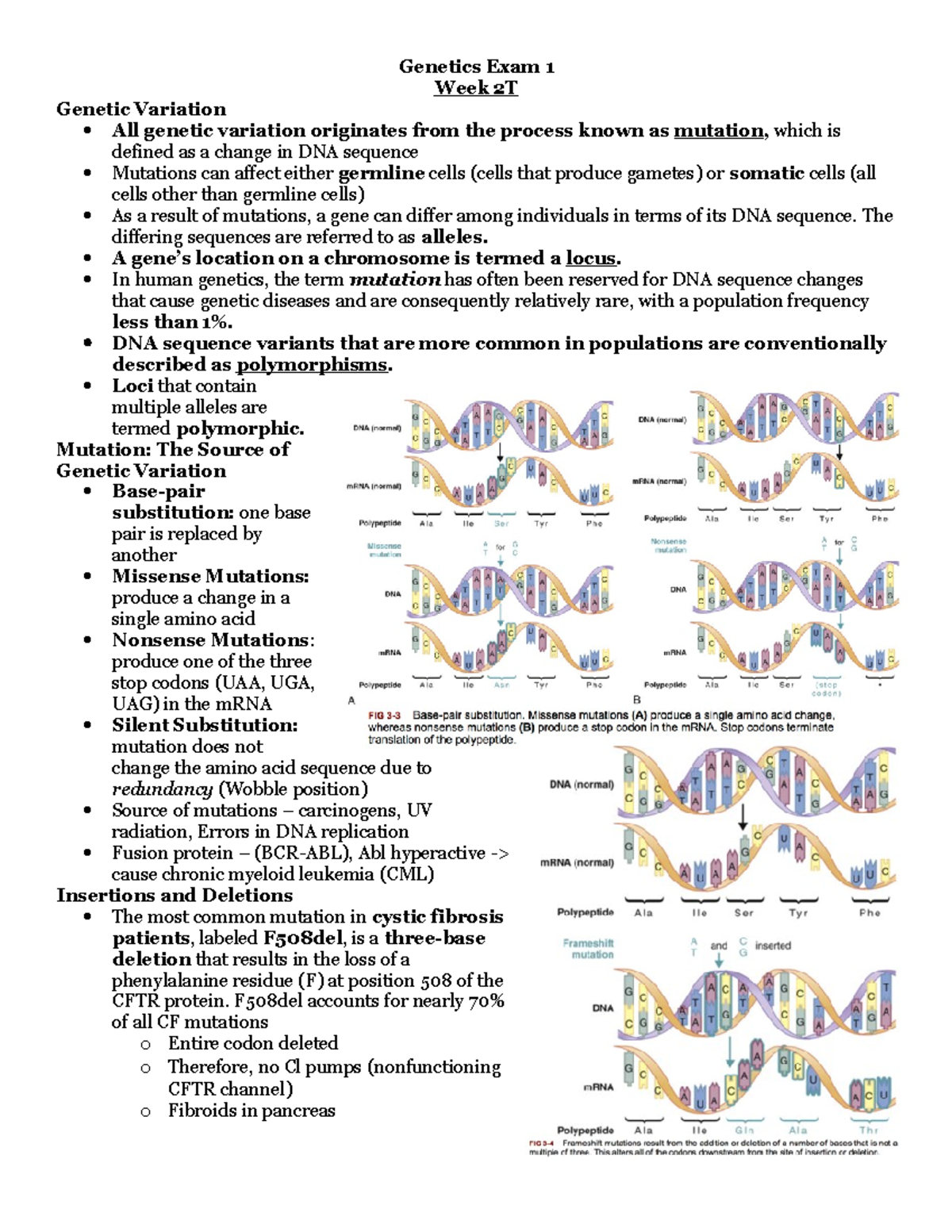 Genetics 2T - Huwe - Genetics Exam 1 Week 2T Genetic Variation All ...