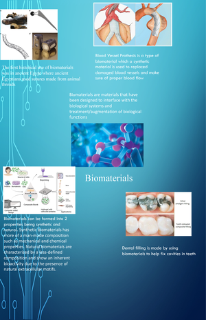 Activity 3 Engineering Design Problem Definition - BENG 101 ...