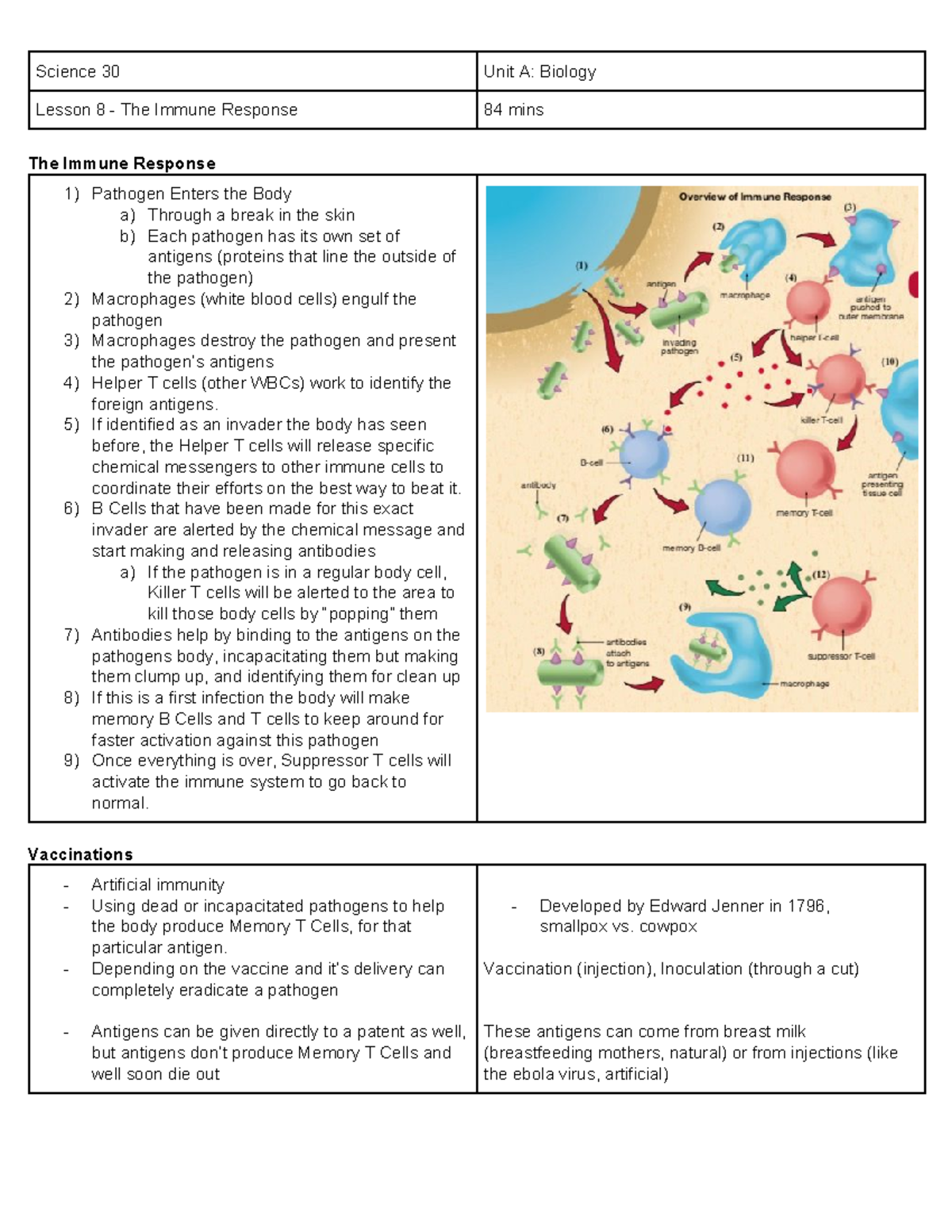 The Immune Response - Review + Practice problems - Science 30 Unit A ...