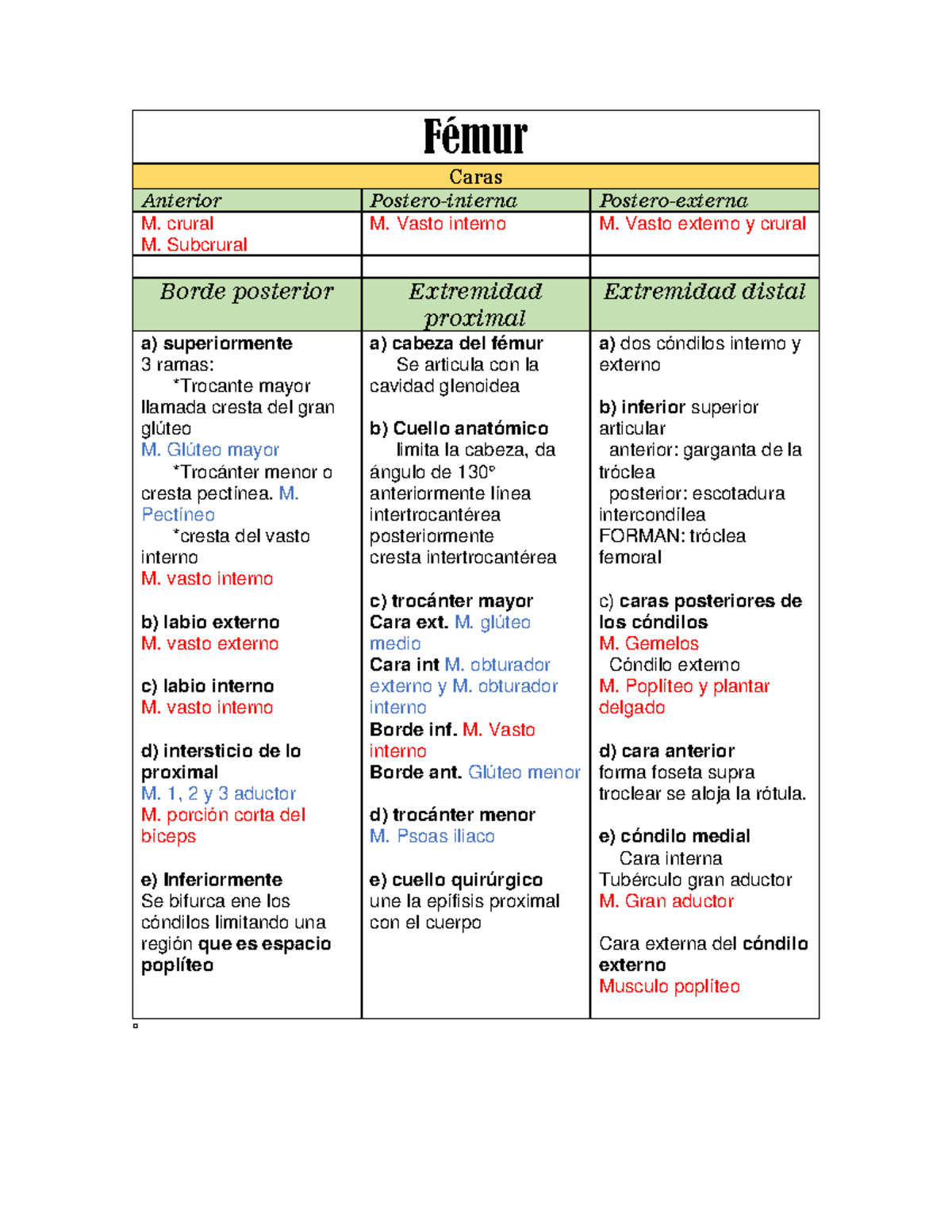 Fémur - femur - Fémur Caras Anterior Postero-interna Postero-externa M ...