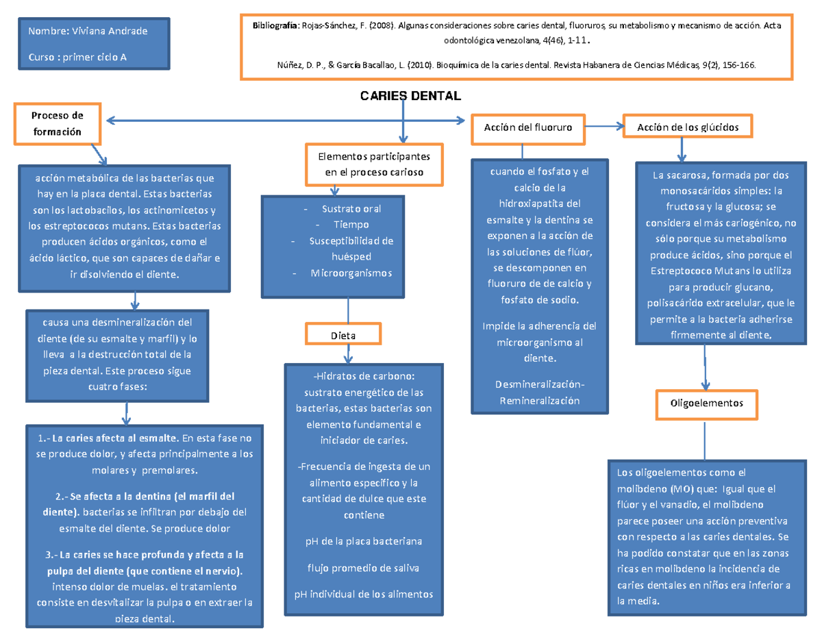 Caries Dental - Formación, elementos participantes en el proceso ...