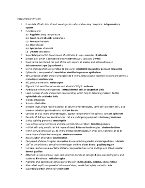 Urinary System Ana Phy - tortora - Urinary System The urinary system ...