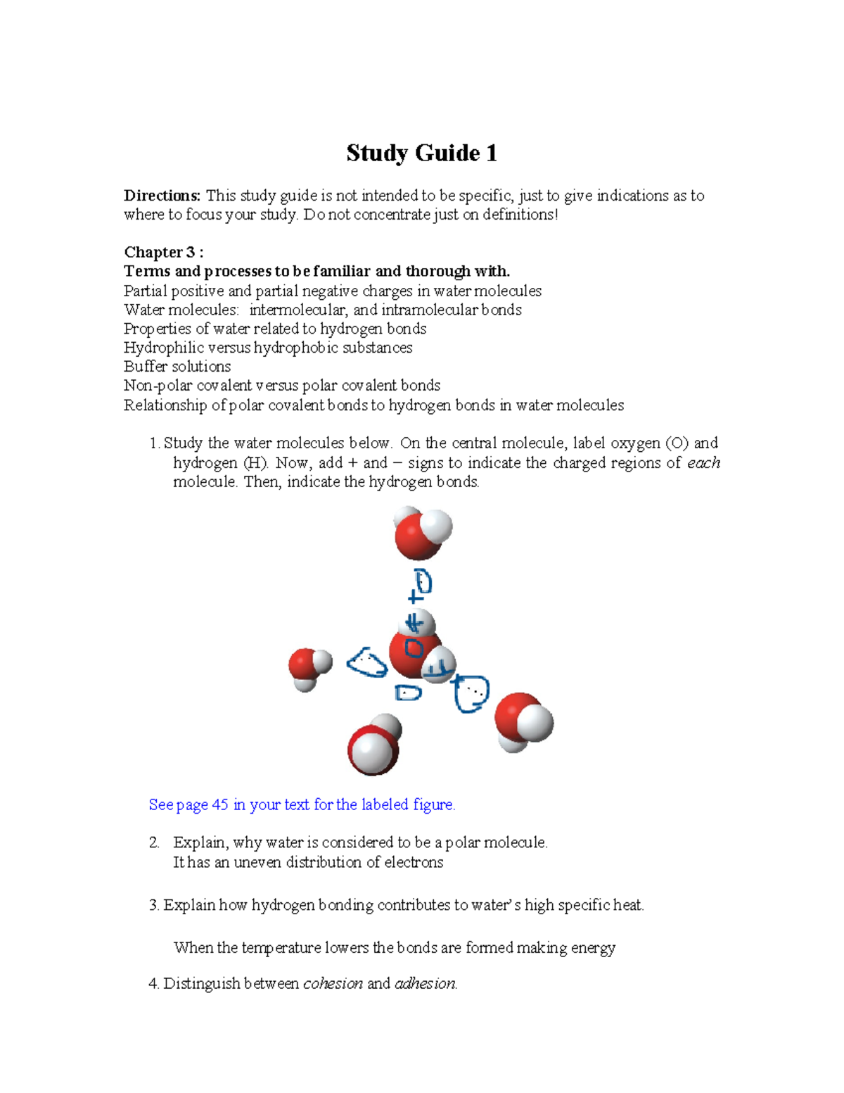 Biology Study Guide - Study Guide 1 Directions: This study guide is not ...