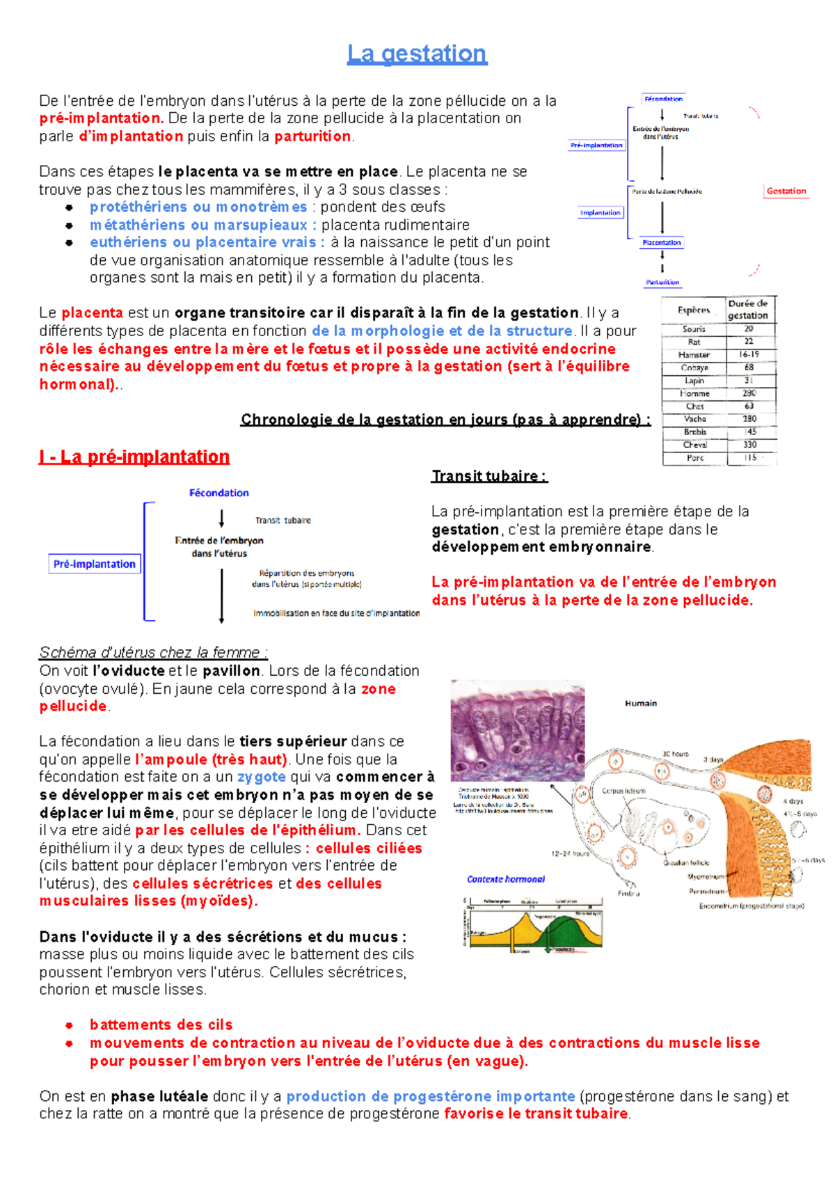 REP - Chap 2 - La gestation - La gestation De l’entrée de l’embryon ...