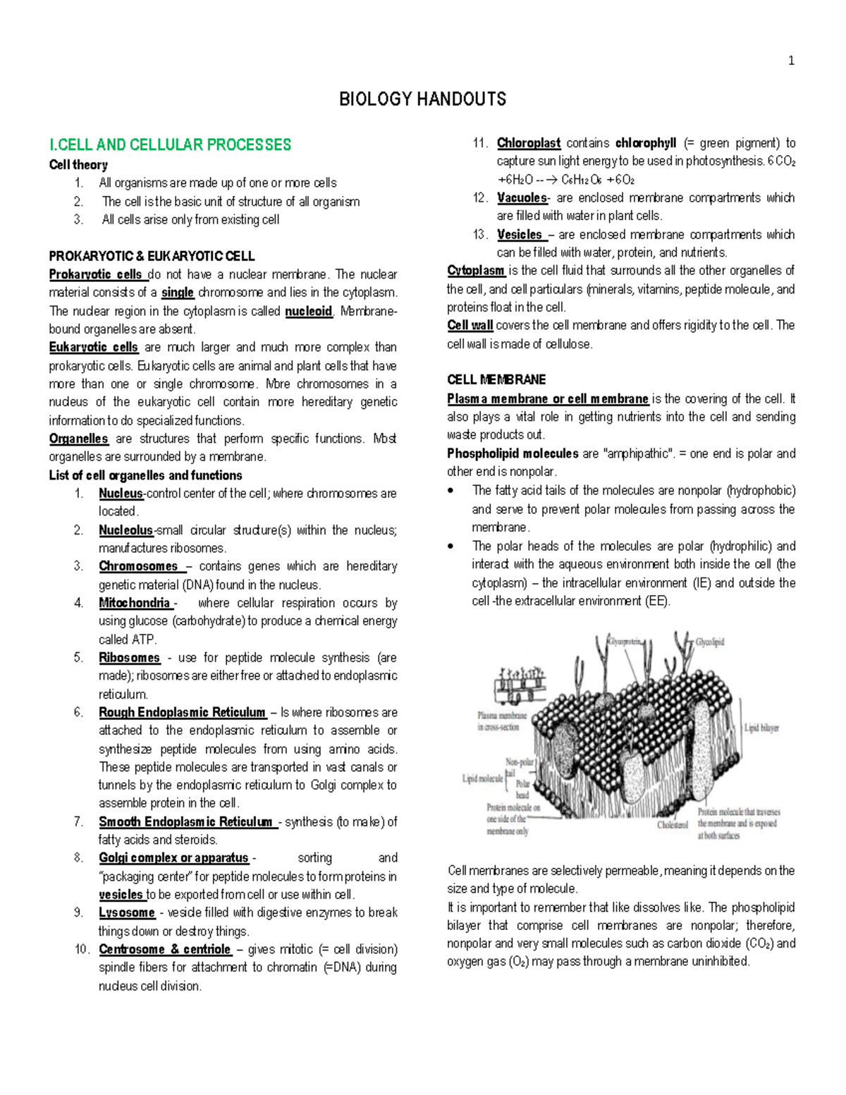 Compiled Handouts - For Nmat :) - BIOLOGY HANDOUTS I AND CELLULAR ...
