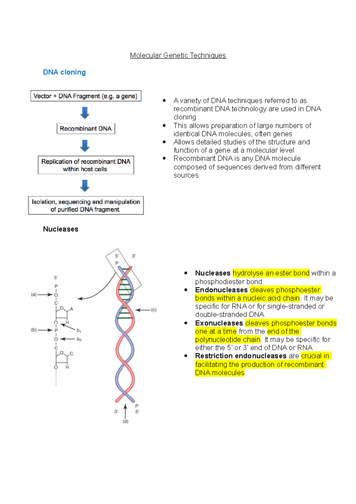 Molecular Genetic Techniques - It may be specific for RNA or for or DNA ...