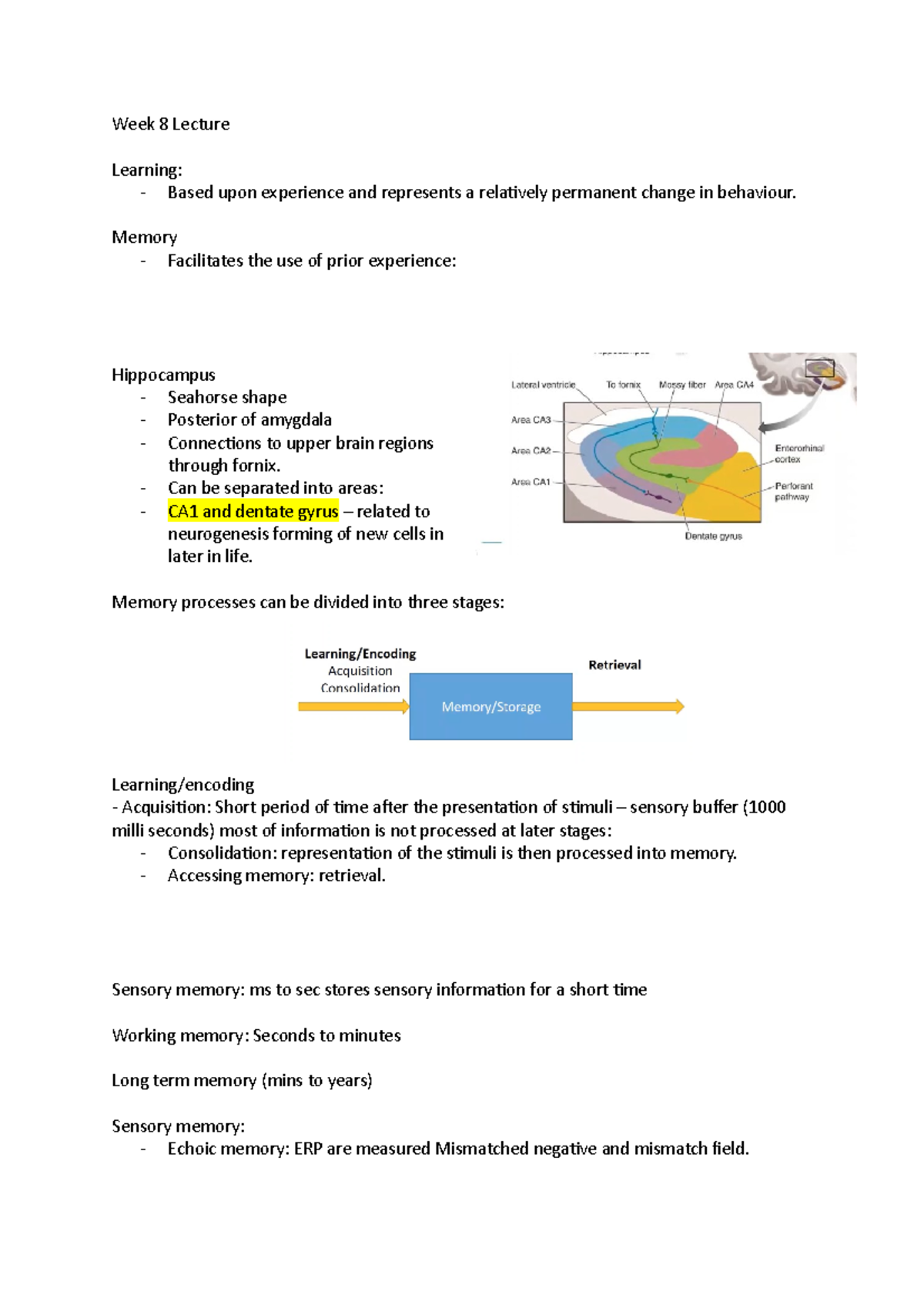 Week 8 - Memory - Lecture notes and tutorial notes - Week 8 Lecture ...